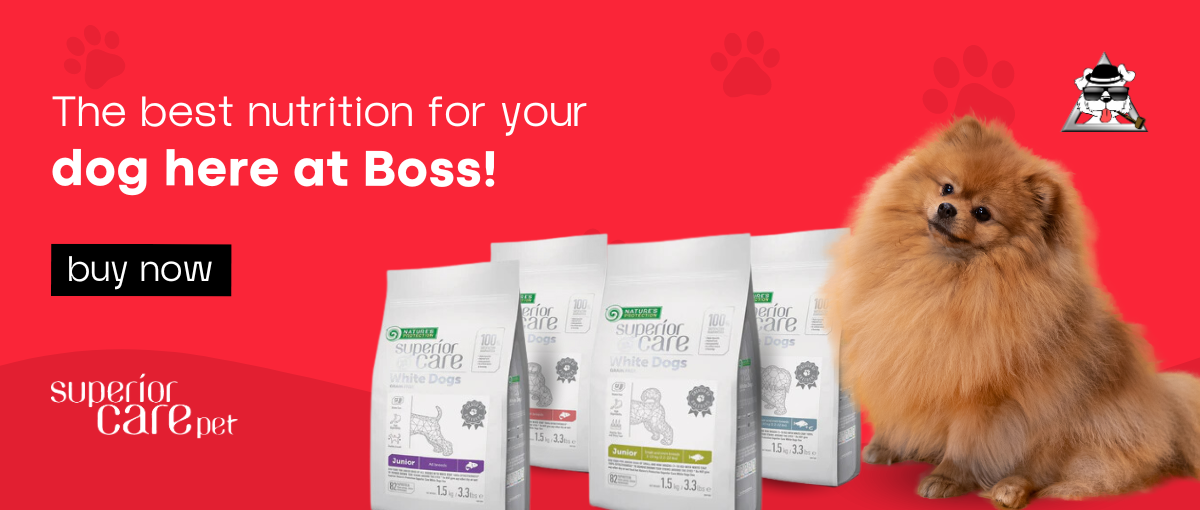 Boss The Pet Connection – bossthepetconnection