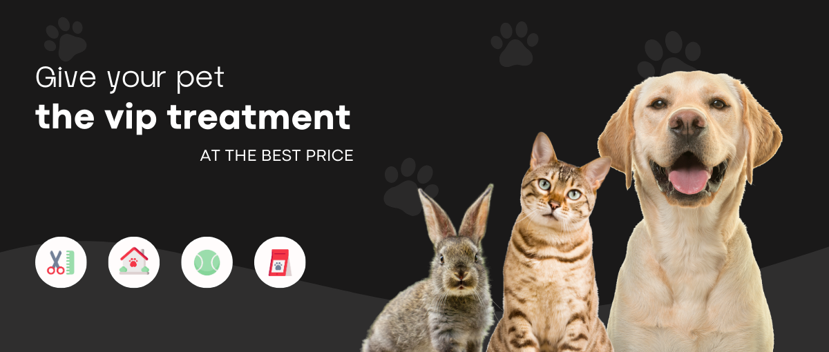 Boss The Pet Connection – bossthepetconnection