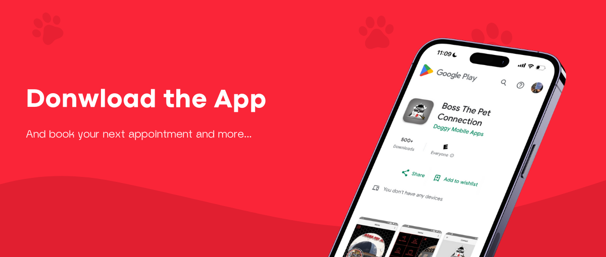 Boss The Pet Connection – bossthepetconnection