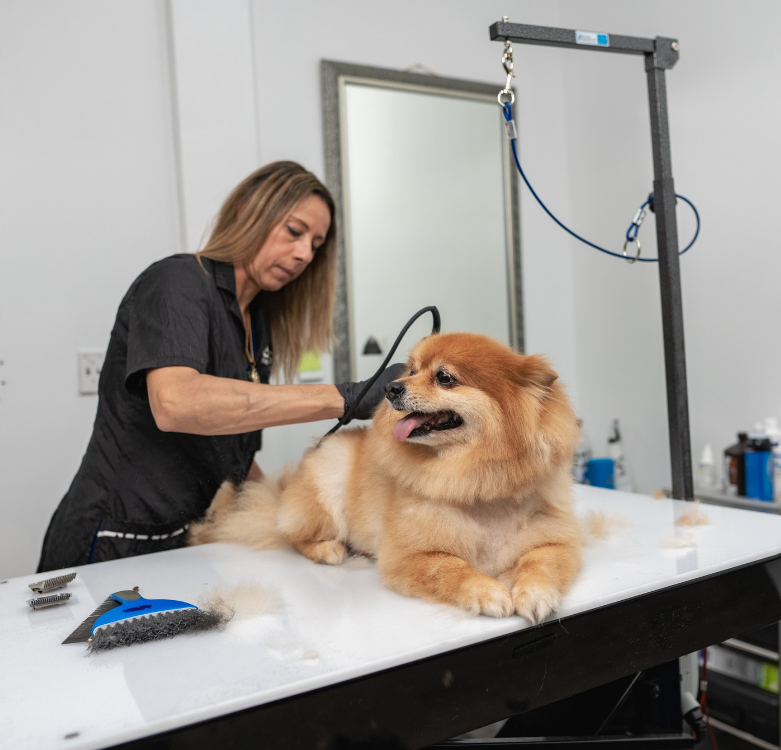 GROOMING – bossthepetconnection