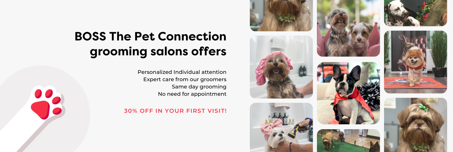 GROOMING – bossthepetconnection
