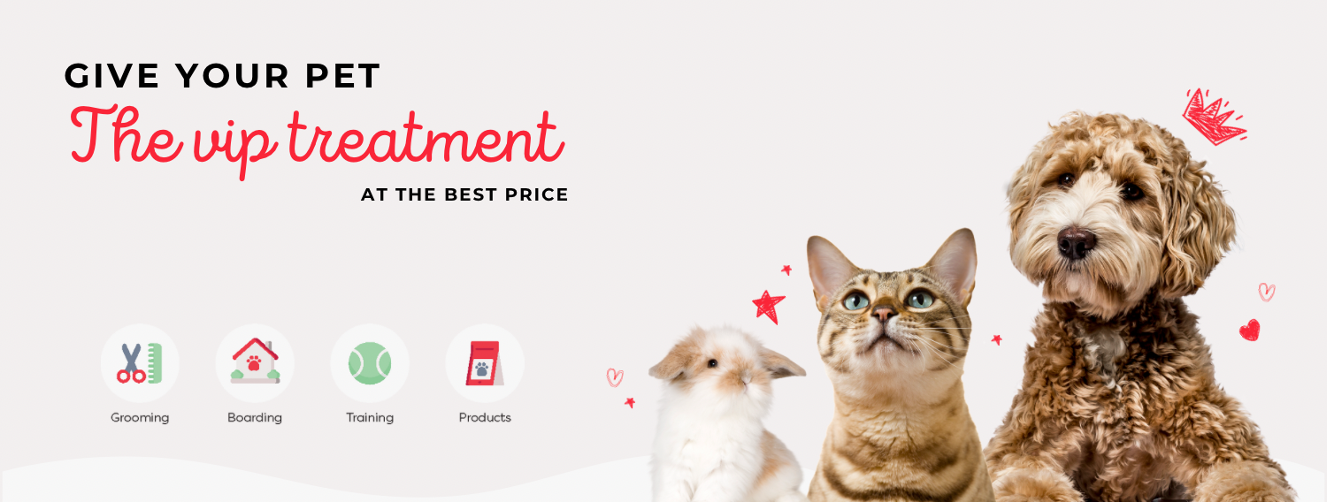 Boss The Pet Connection – bossthepetconnection