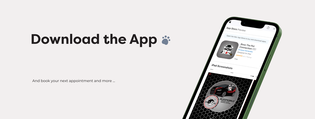 Boss The Pet Connection – bossthepetconnection